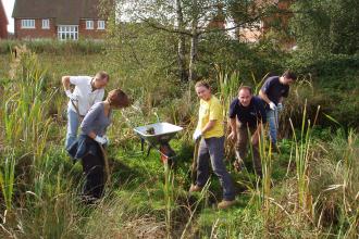 Chobham Common | Surrey Wildlife Trust