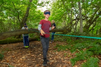 Nower Wood Educational Nature Reserve | Surrey Wildlife Trust