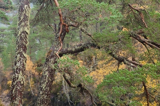 Nature Reserves | Surrey Wildlife Trust