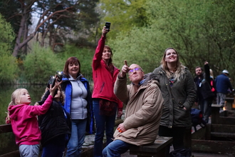 Nower Wood Educational Nature Reserve | Surrey Wildlife Trust