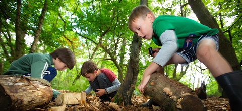 Meet the Minibeasts | Surrey Wildlife Trust