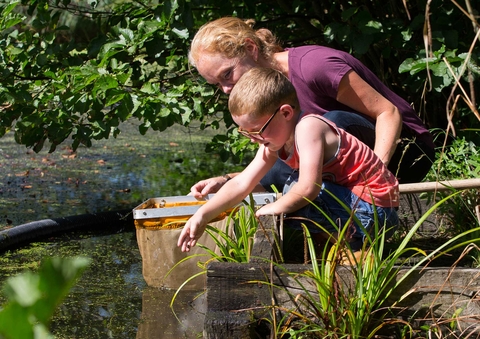 Go Wild in Godstone | Surrey Wildlife Trust