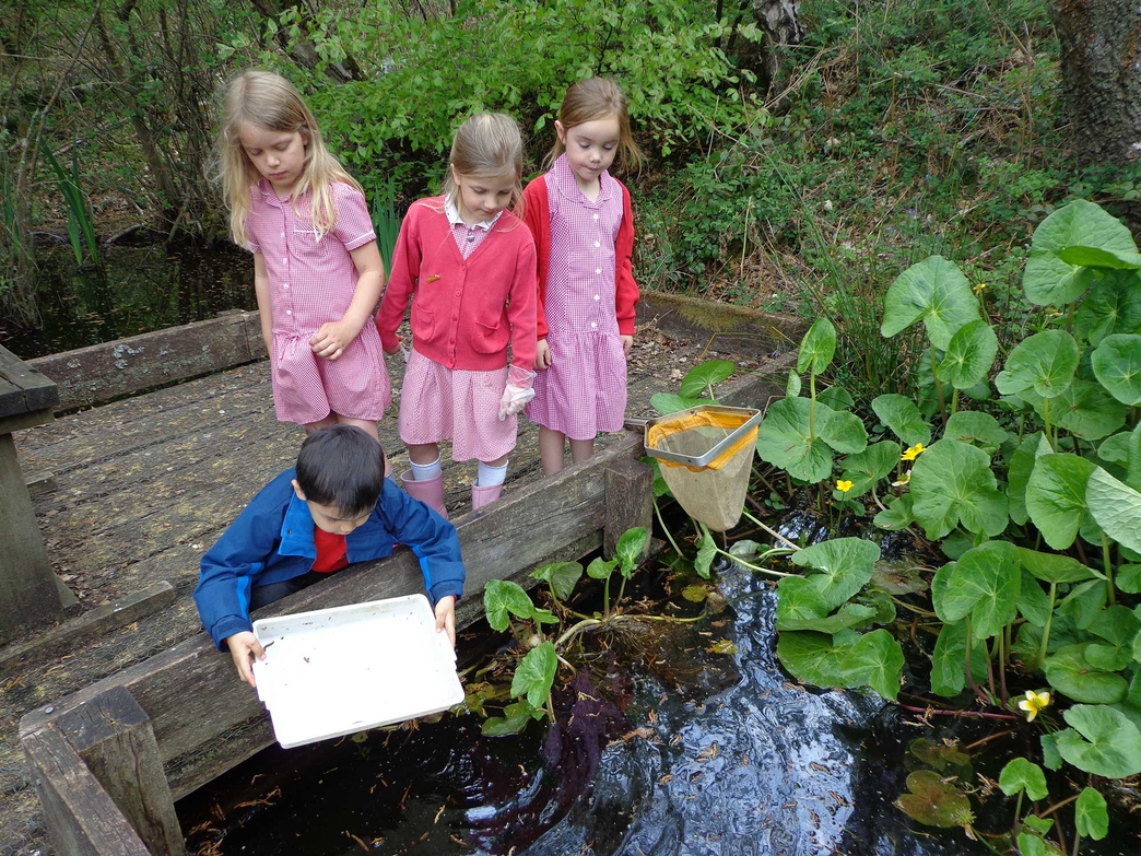 Schools & educators | Surrey Wildlife Trust