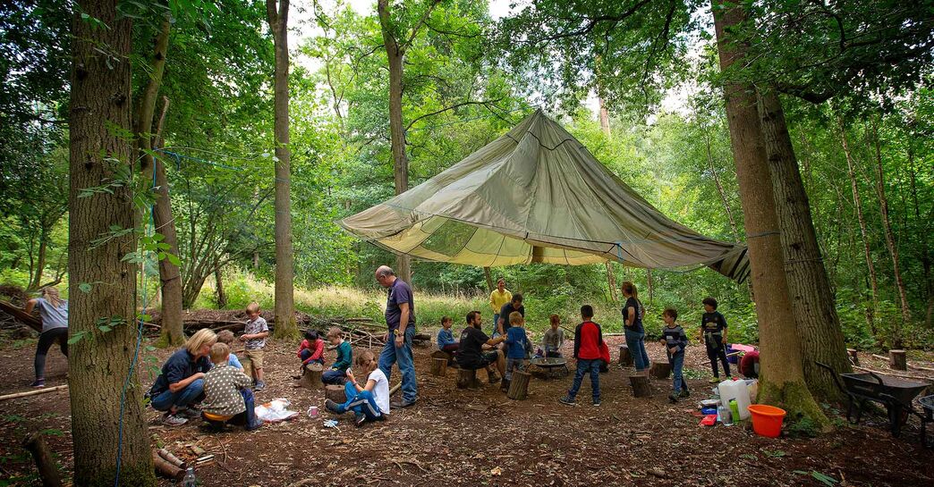Bespoke Outdoor Learning Day | Surrey Wildlife Trust