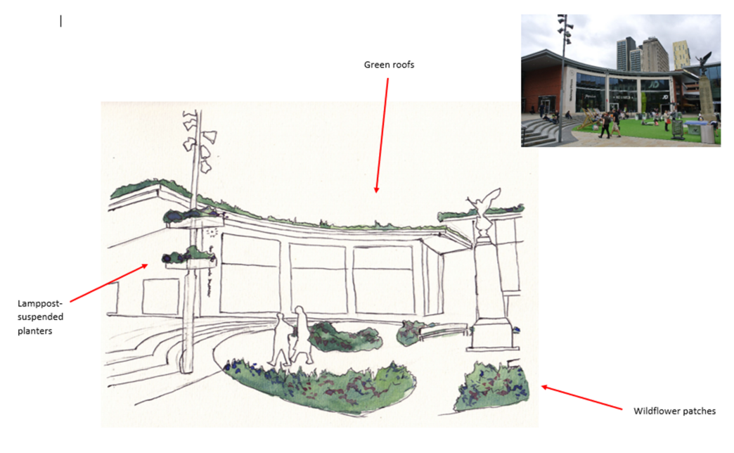 SATRO Students 2021 - Nature Engagement and Green Infrastructure ...