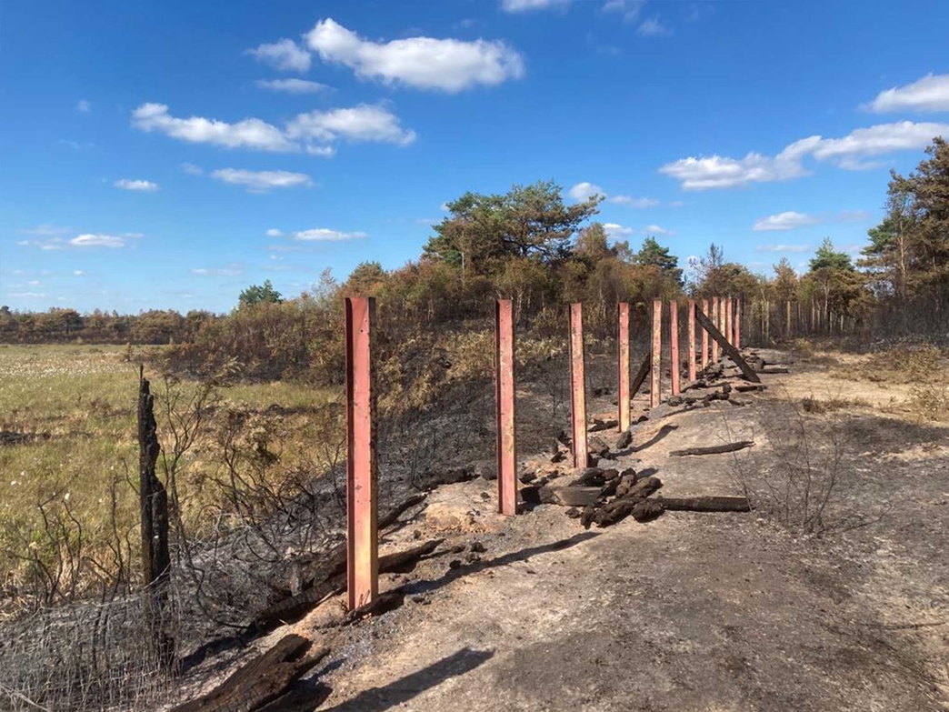Urgent appeal launched after devastating Pirbright wildfire | Surrey ...