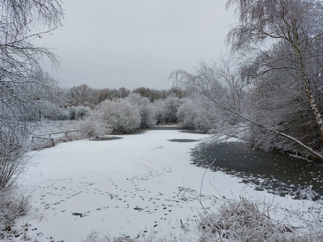 Spring steps in at Newdigate Brickworks | Surrey Wildlife Trust