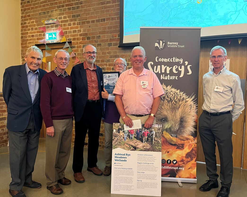 Surrey community champions celebrate in style | Surrey Wildlife Trust