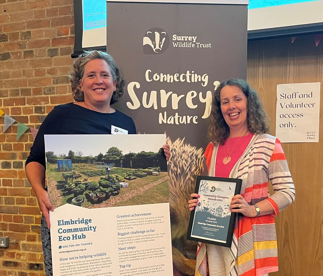 Surrey community champions celebrate in style | Surrey Wildlife Trust