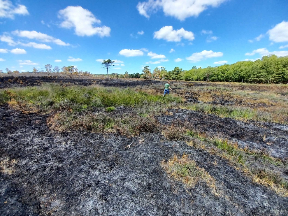 Urgent appeal launched after devastating Pirbright wildfire | Surrey ...