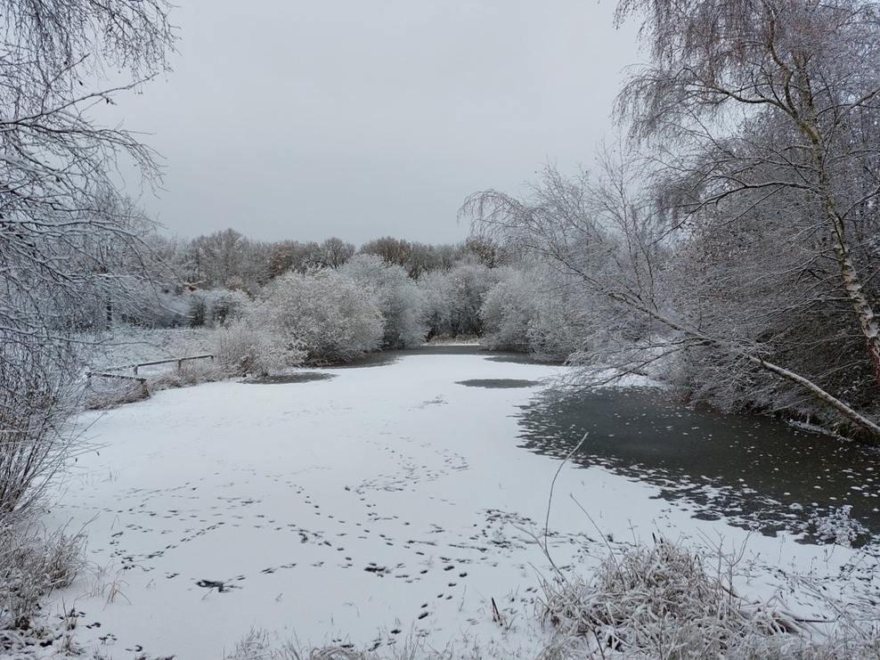 Spring steps in at Newdigate Brickworks | Surrey Wildlife Trust