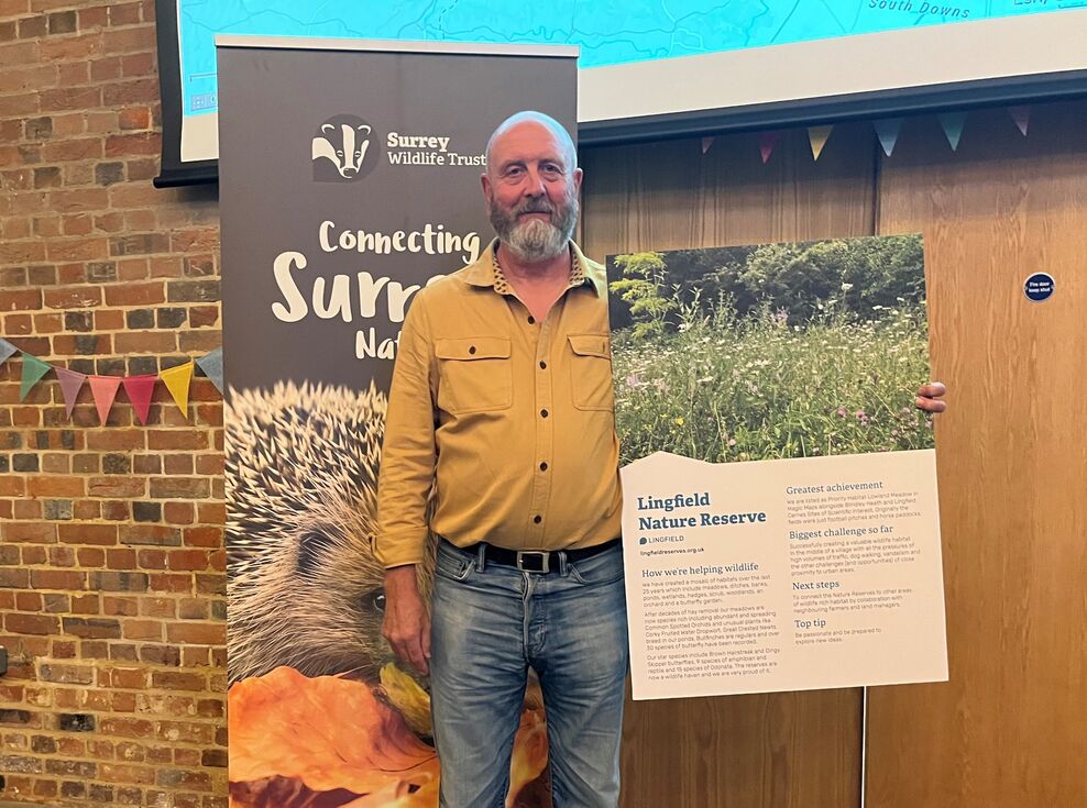 Surrey community champions celebrate in style | Surrey Wildlife Trust