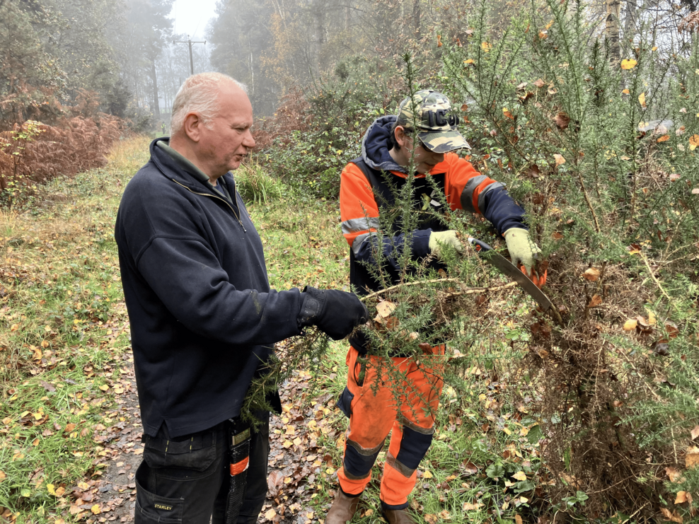 Normandy Conservation Volunteers | Surrey Wildlife Trust