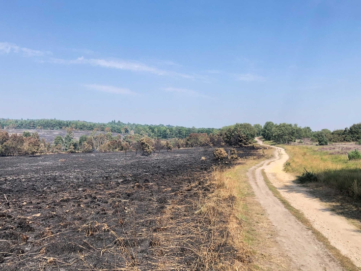 Wildfires: Future Wildfire Management | Surrey Wildlife Trust