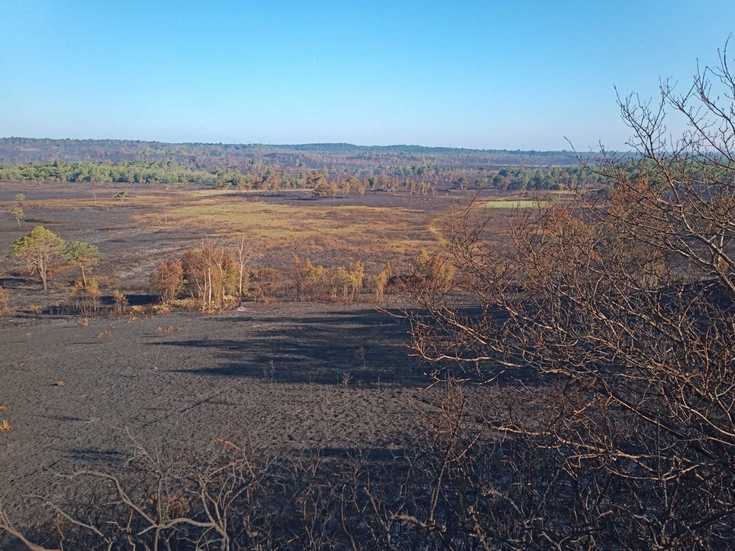 Urgent appeal launched after devastating Pirbright wildfire | Surrey ...