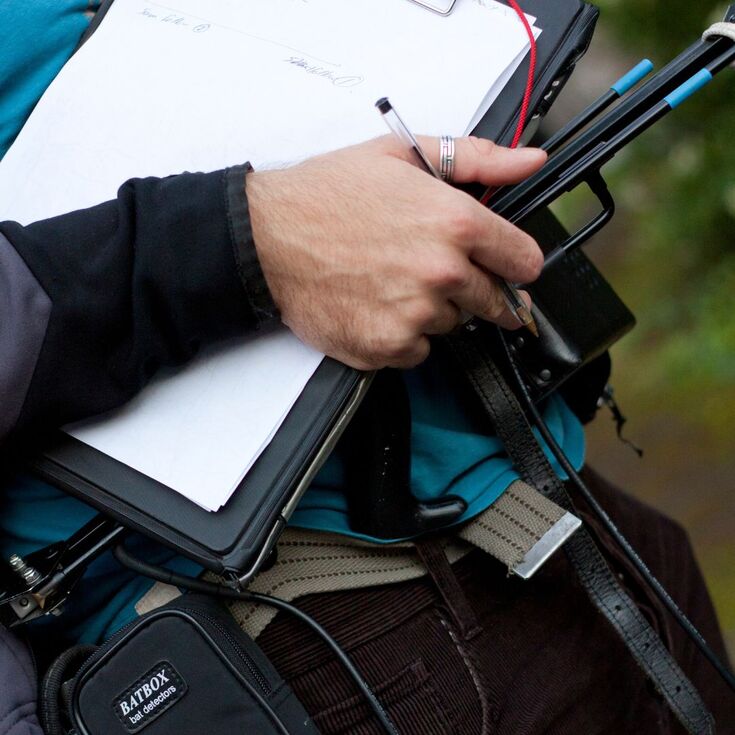 Ready Steady Survey! How to get involved with surveys this summer ...
