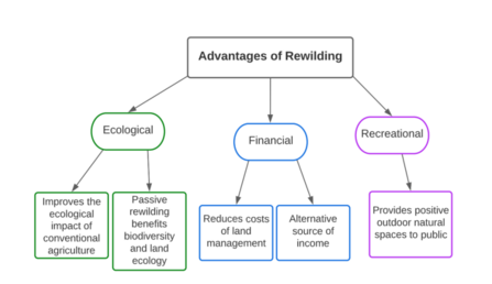 Rewilding Private Land: Public Money for Public Goods? | Surrey ...