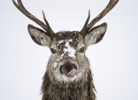 Home | Surrey Wildlife Trust